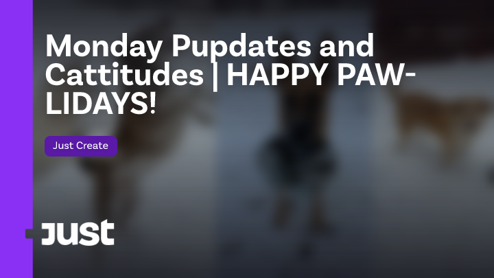 Monday Pupdates and Cattitudes | HAPPY PAW-LIDAYS! | Just Just Create